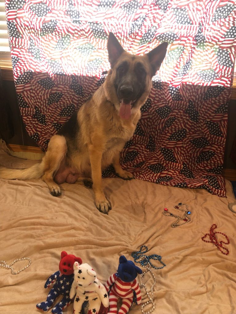 Meet Our Dogs - Farmhouse Friends, LLC